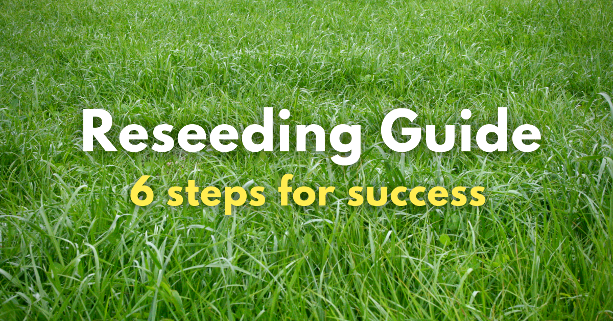 Reseeding Guide: 6 Steps For Success | Agritech Ireland